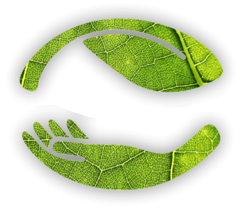 National Grid - Summer Friday